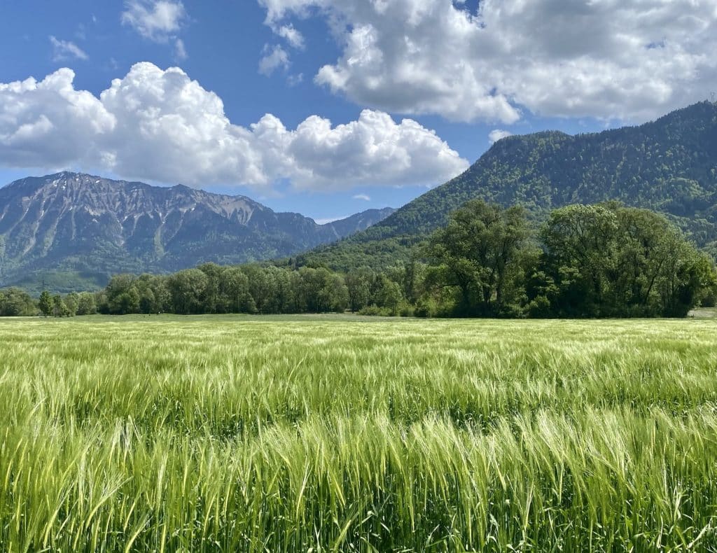 Hike: The Postman's Route | Sources du lac d'Annecy - Office de tourisme
